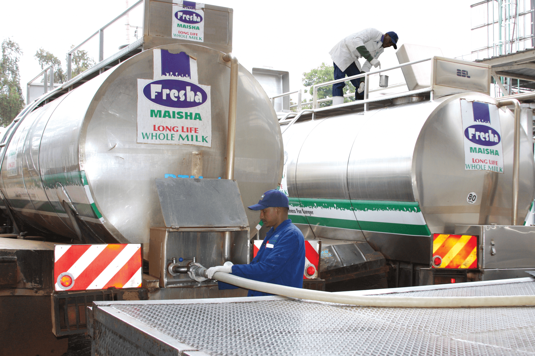 Fresha Daily Brands - TimelessPlus Directory