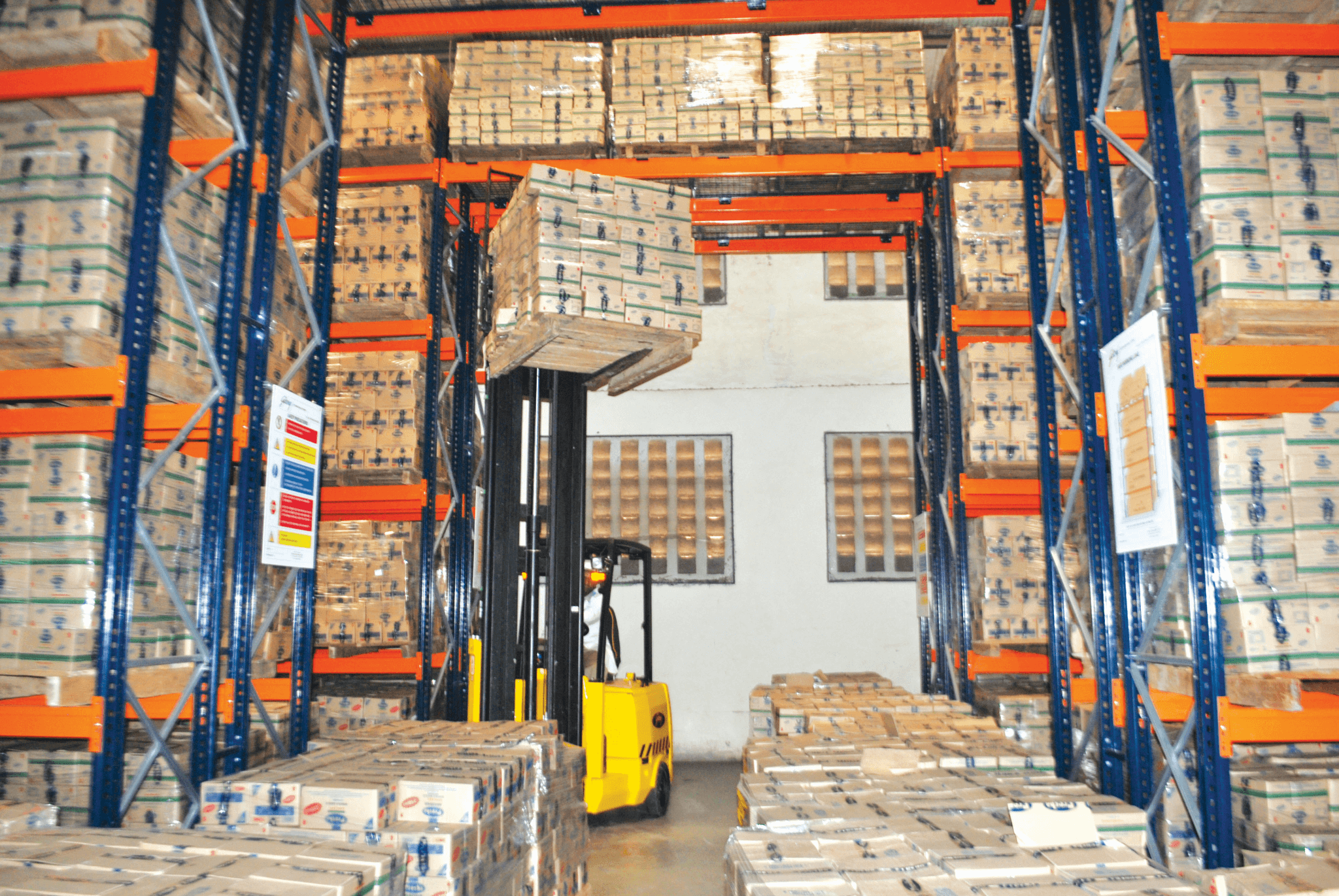 Fresha Daily Brands - TimelessPlus Directory